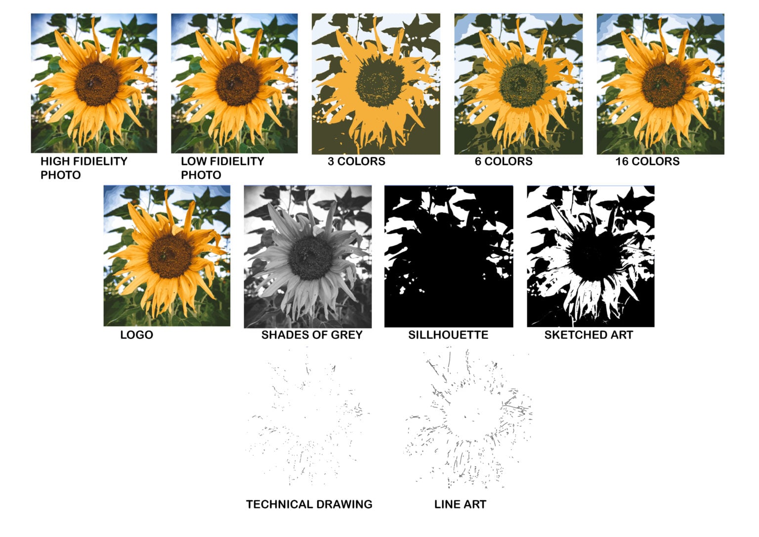 How to Trace an Image in Adobe Illustrator (Vectorize an Image)